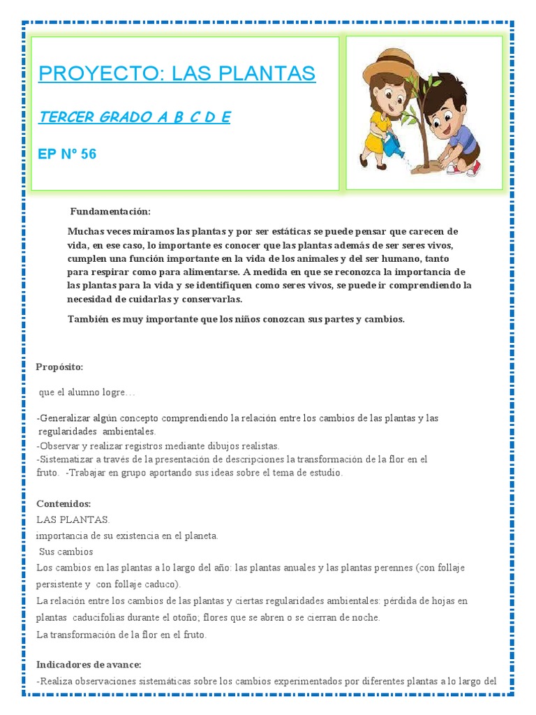 Las Plantas y Sus Cambios 3grado | PDF | Plantas | Evaluación