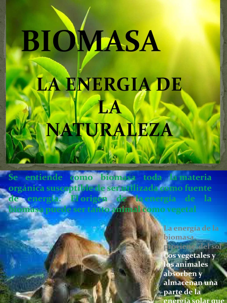 BIOMASA Presentación | PDF
