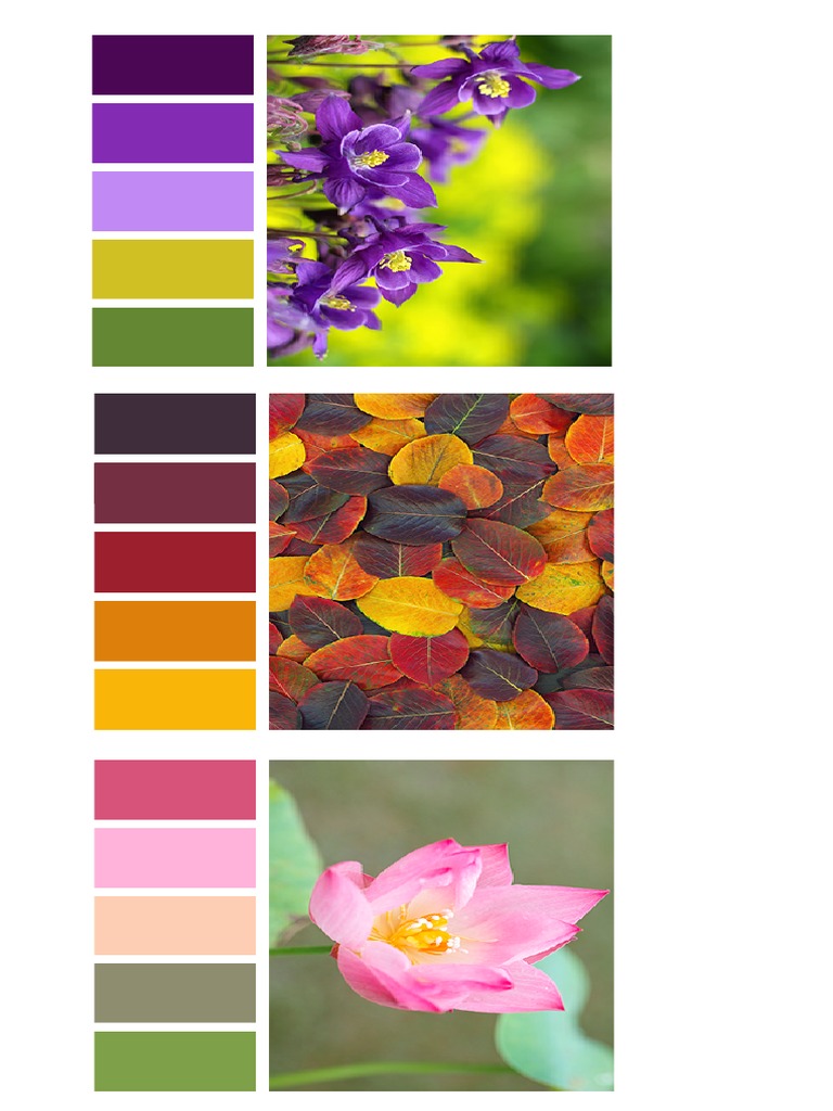 Paleta de Colores | PDF