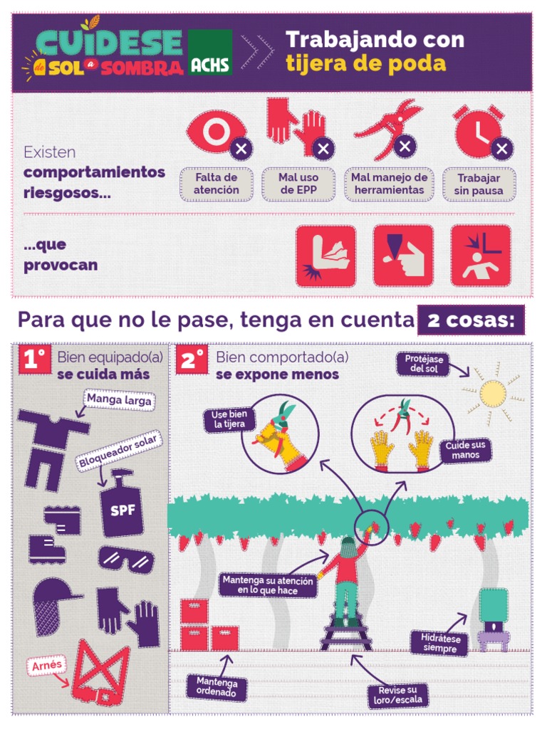 2E ACHS CDSAS DialogoSeguridad TijeraPoda03 | PDF