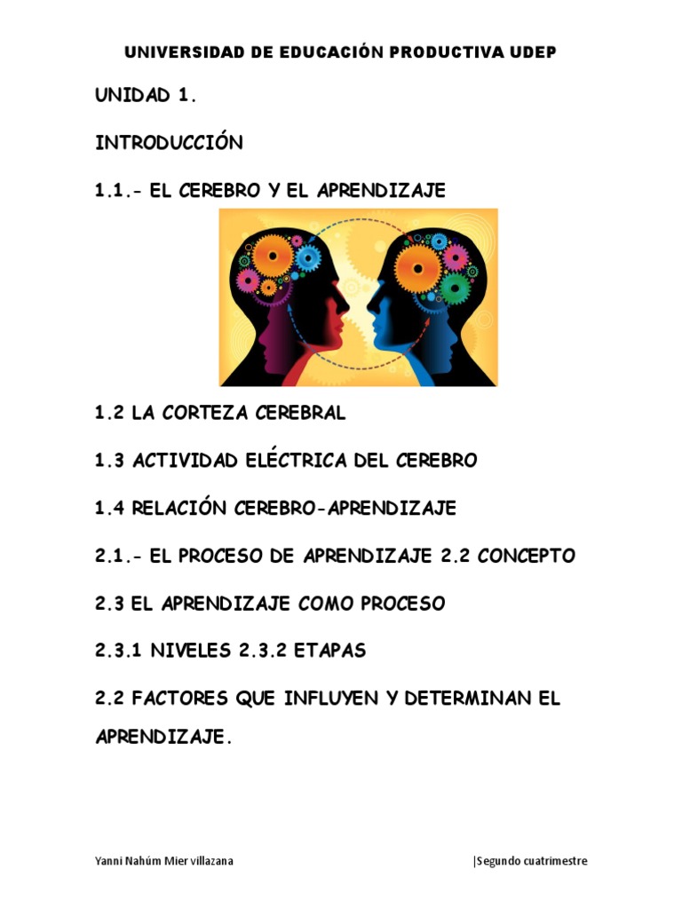 El Aprendizaje Y El Cerbro Pdf Aprendizaje Cerebro