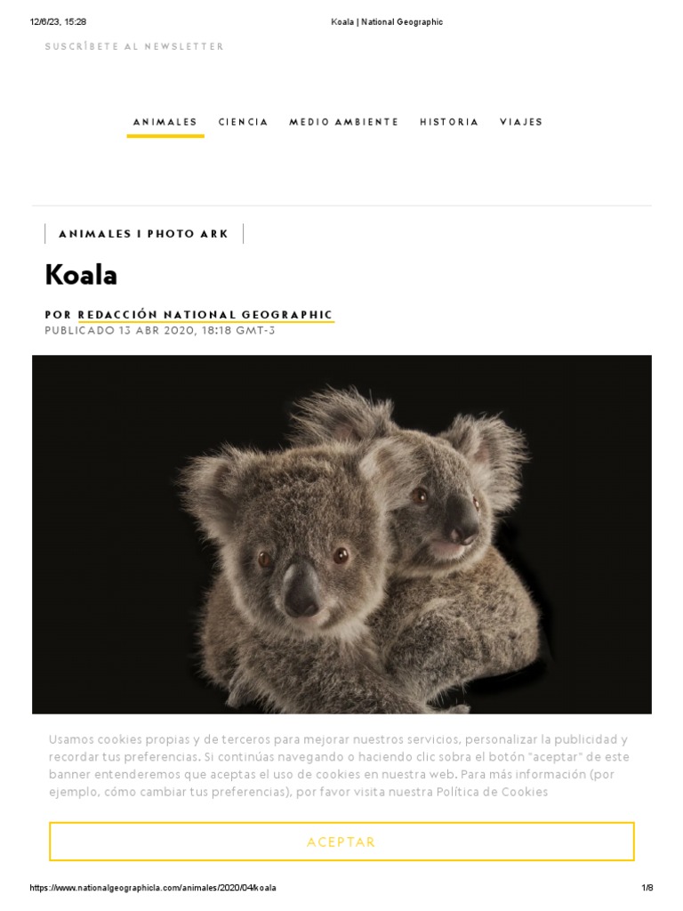 Koala - National Geographic | PDF | Coala | Cookie HTTP