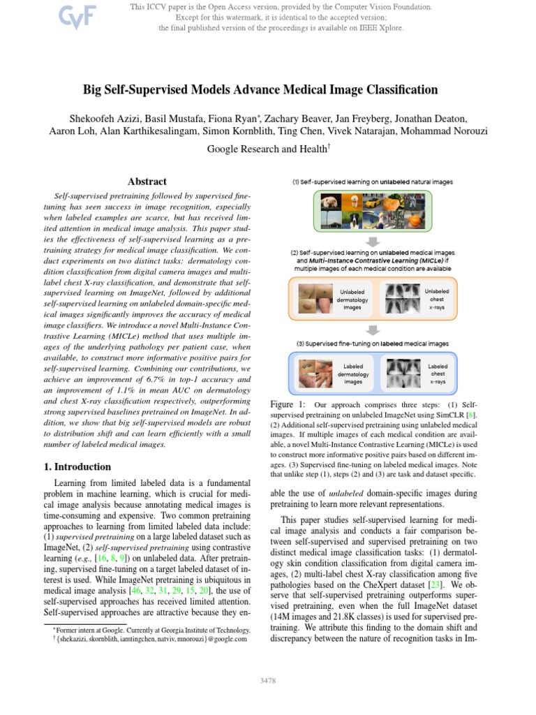 Azizi Big Self-Supervised Models Advance Medical Image Classification ICCV 2021 Paper | PDF ...