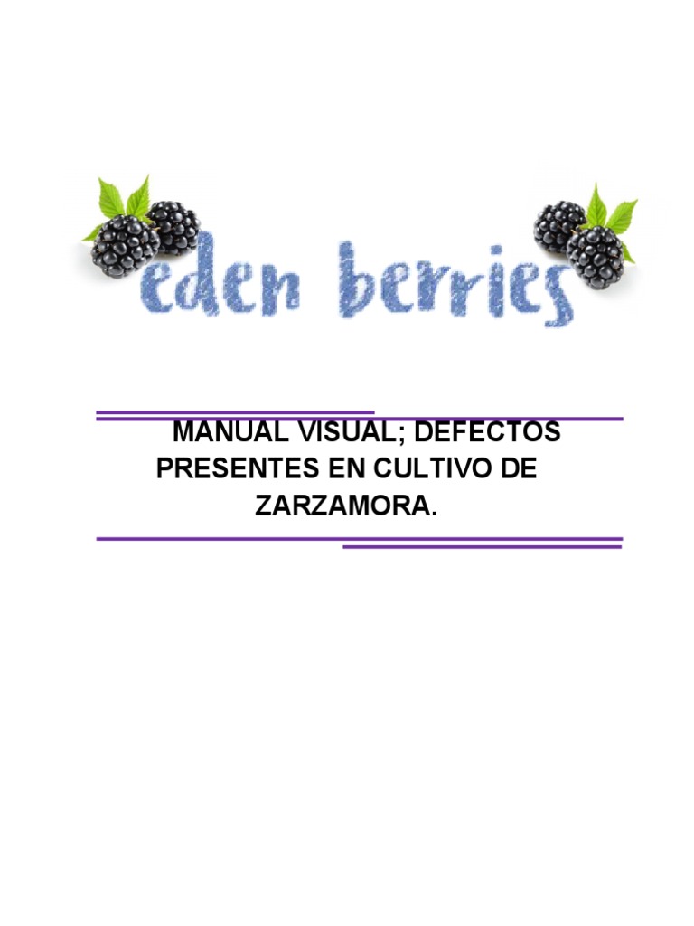 Ayuda Visual Defectos de Zarzamora | PDF