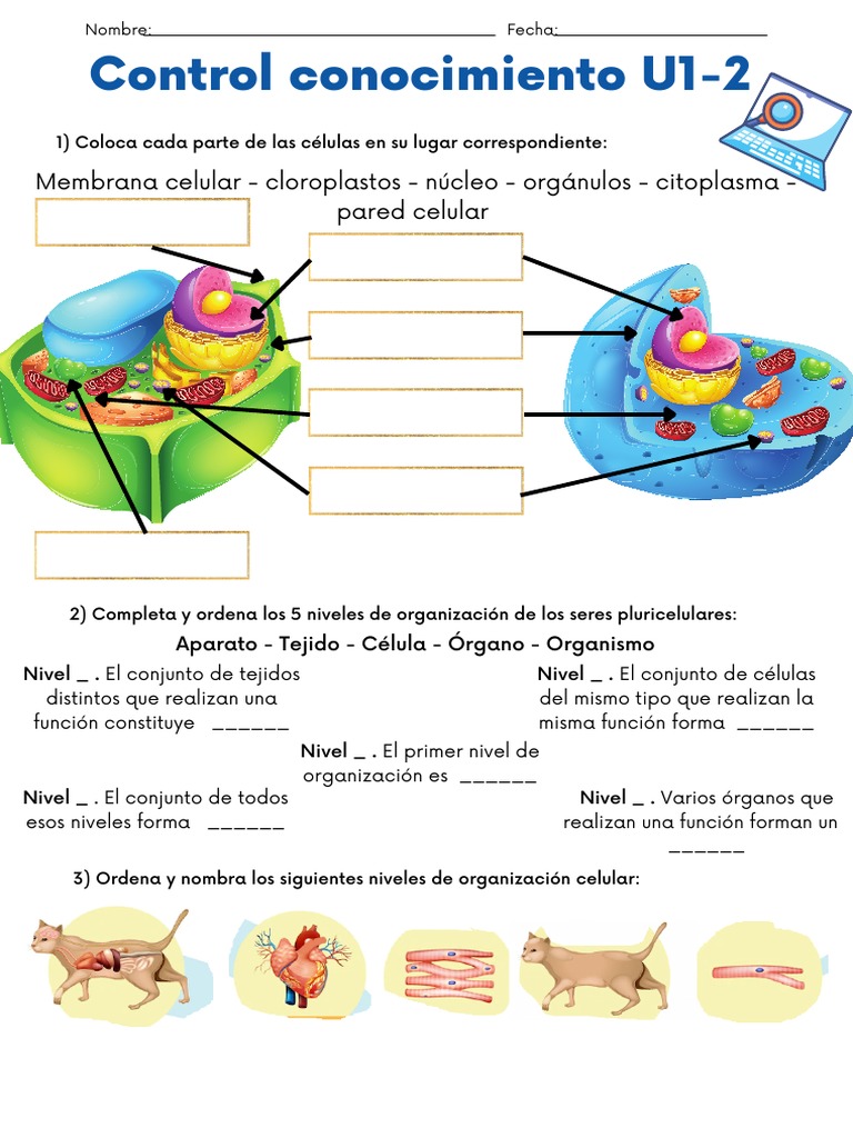 Control Cono U1-2 | PDF | Organismos | Biología Celular)