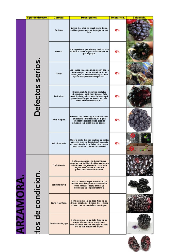 Tabla de Defectos | PDF | Descomposición | Hongo