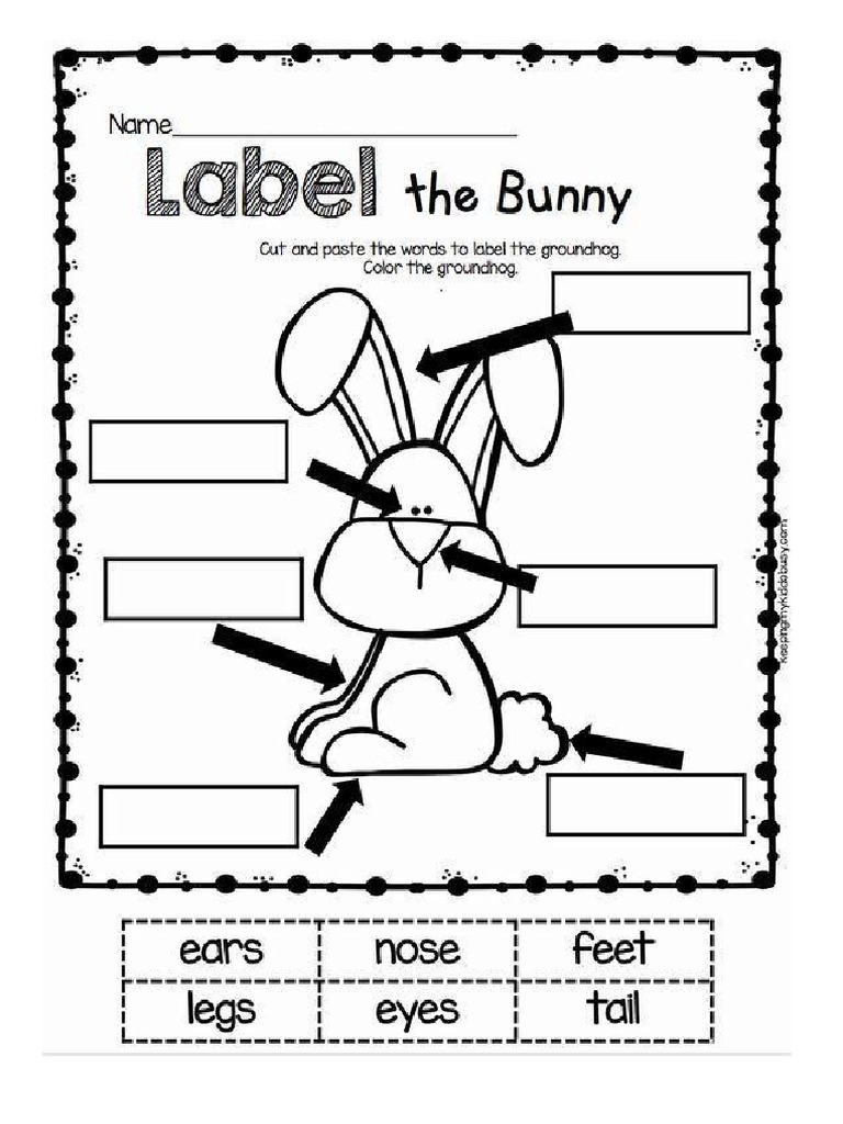 Label The Bunny | PDF