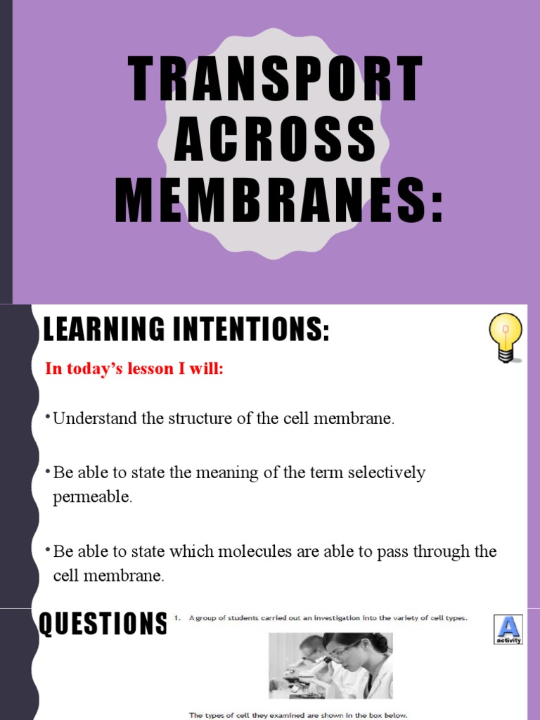 Transport Across Cell Membrane PowerPoint | PDF | Cell Membrane | Osmosis