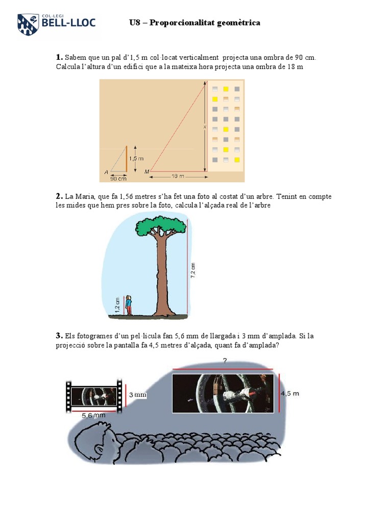 Problemes_de_semblanca13.doc%3Fresponse-content-type=application%2Fmsword&X-Amz-Content-Sha256 ...