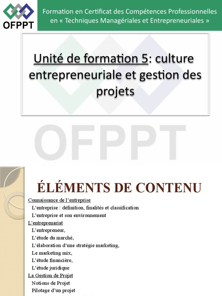 Culture Entrepreneuriale Et Gestion Des Projets-1 | PDF | Business | Entrepreneuriat