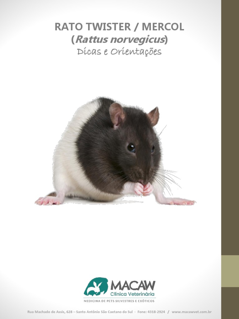 Rato Twister | PDF | Medicina Veterinária | Alimentos