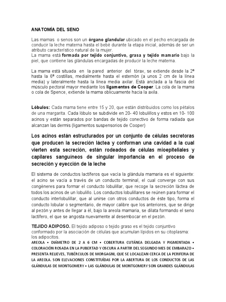 Anatomía Del Seno | PDF | Pecho | Morfología (biología)