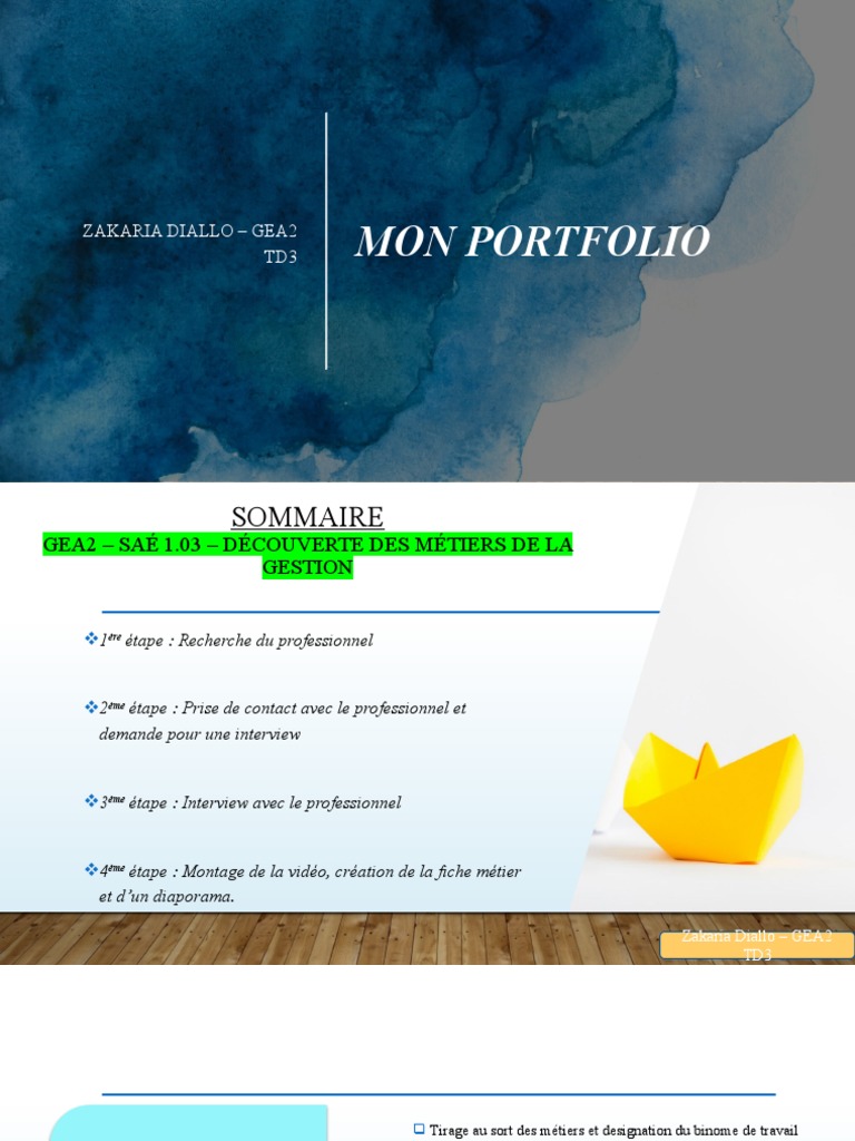 Mon Portfolio | PDF