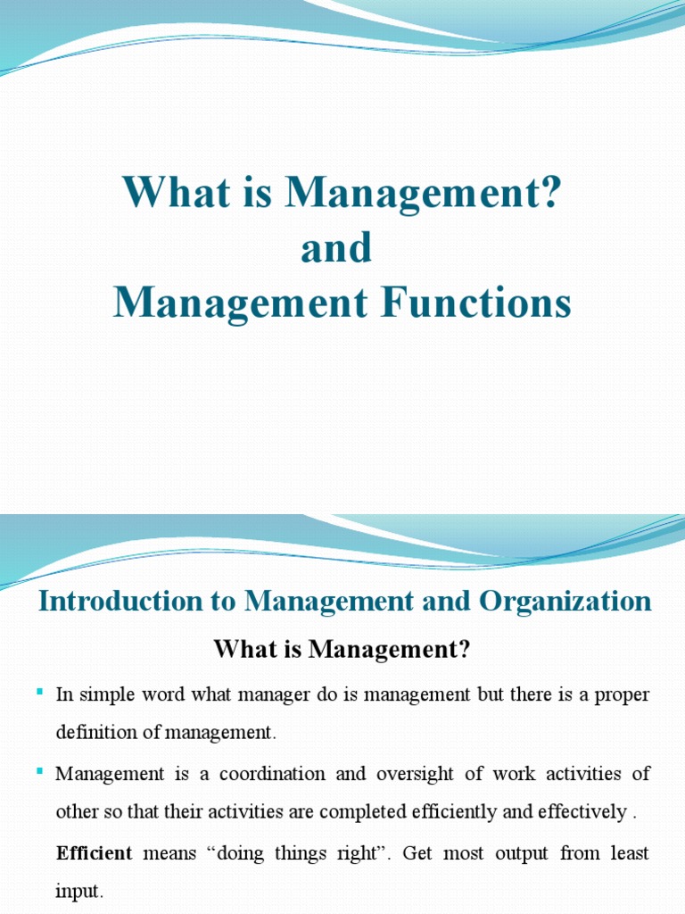 What Is Management and Management Function | PDF