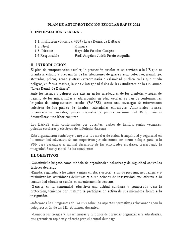 Plan de Bapes 2022 | PDF