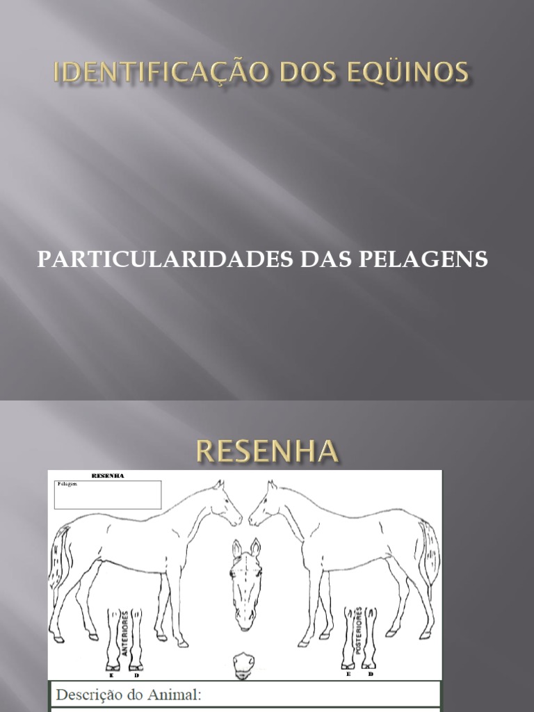 Pelagem de Equinos | PDF