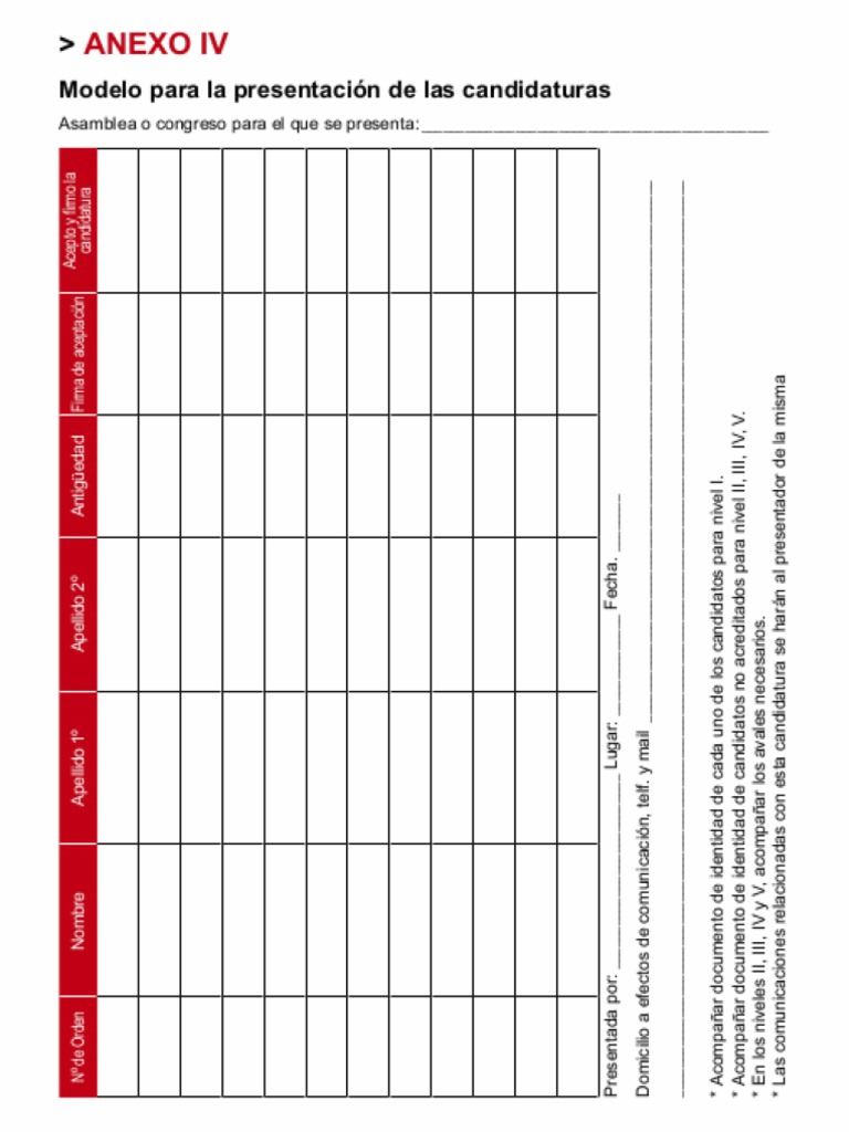 Modelo Presentacion Candidaturas | PDF