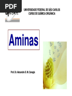 Amidas e Aminas | PDF | Amina | Amida