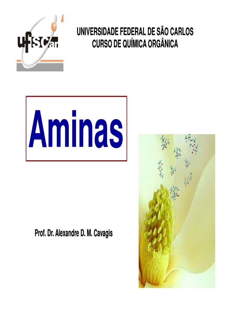 Classificação e Propriedades das Aminas | PDF | Amina | Aldeído