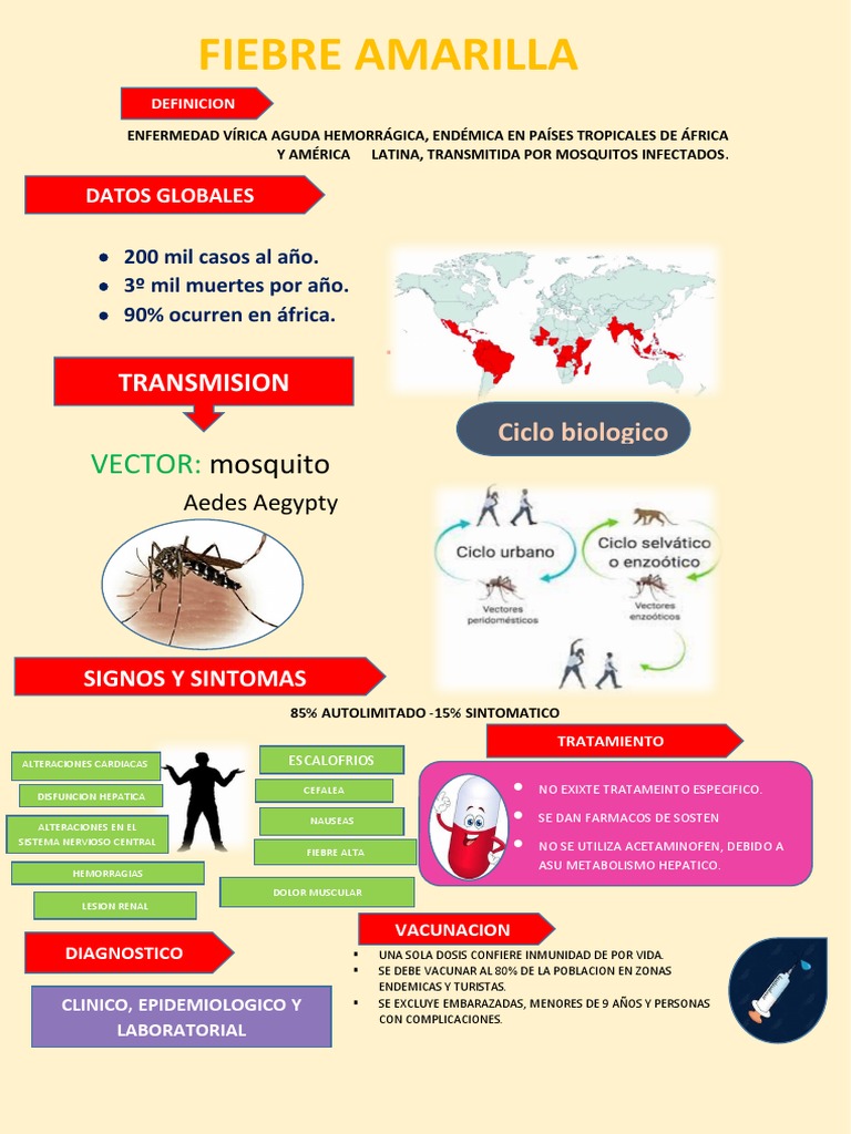 Infografia Fiebre Amarilla | PDF