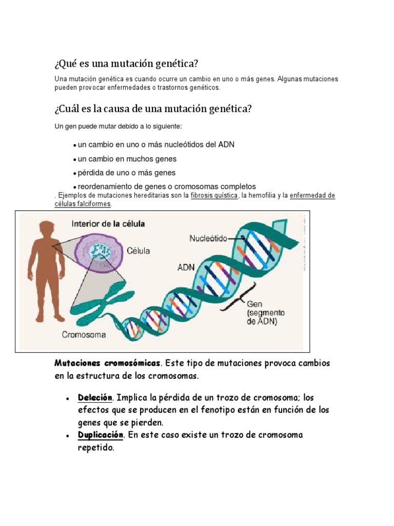 Qué Es Una Mutación Genética | PDF | Ciencias sociales | Salud y bienestar