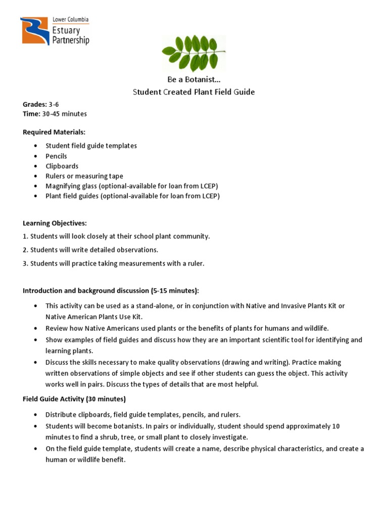 Create A Plant Field Guide Lesson - 0 | PDF | Art