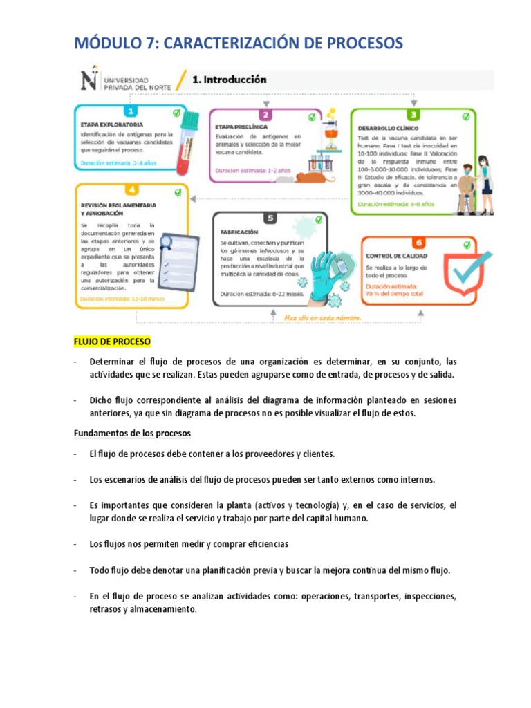 Módulo 7 Caracterización de Procesos | PDF