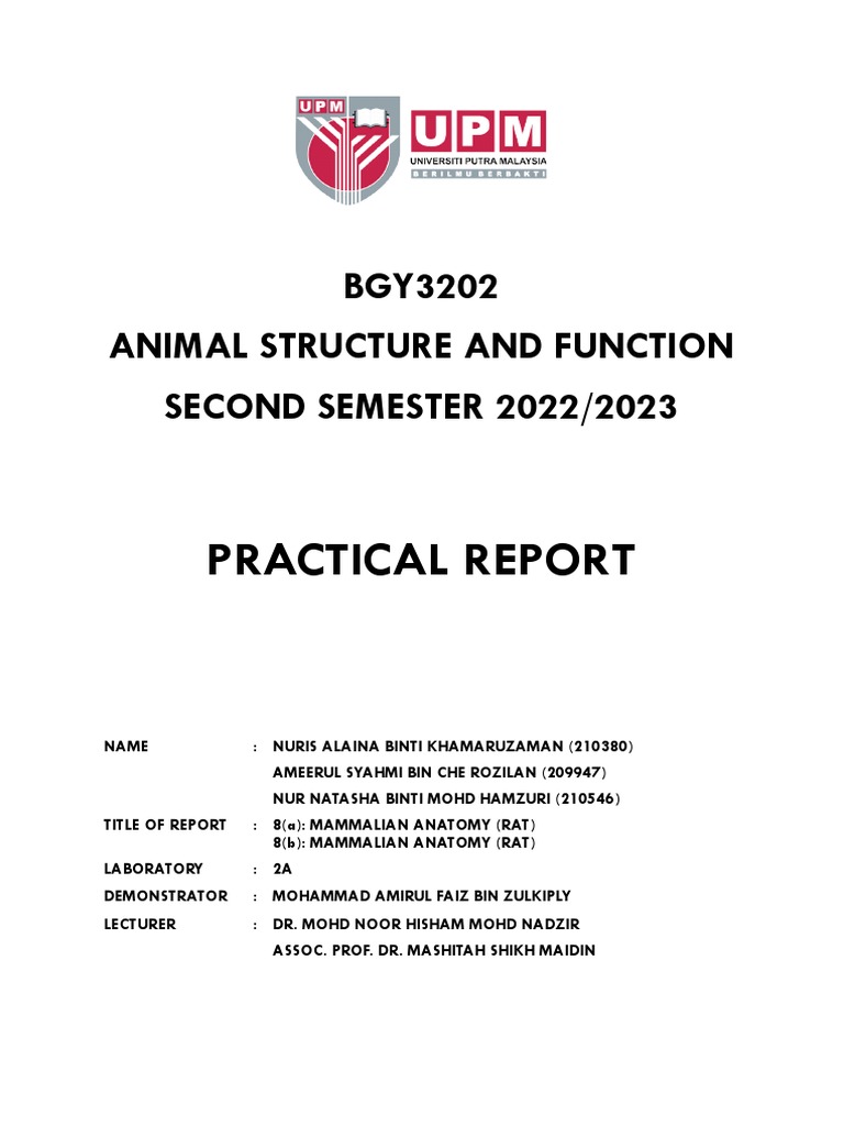 Rat Dissection Lab Report | PDF