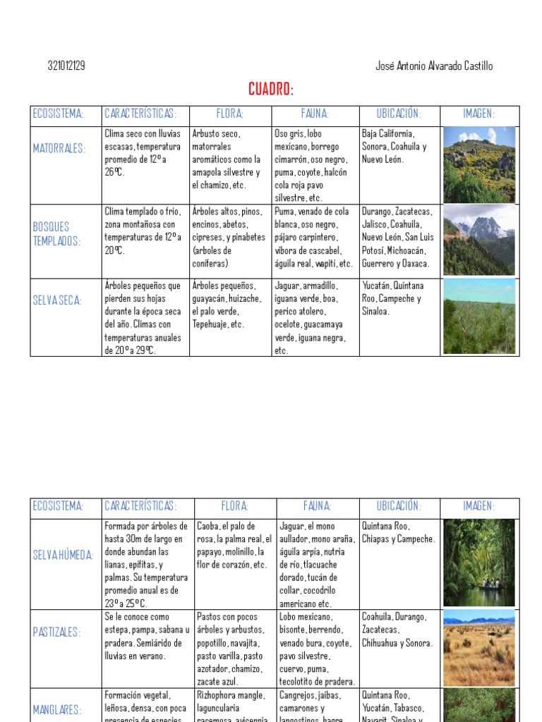 Cuadro de Los Ecosistemas | PDF