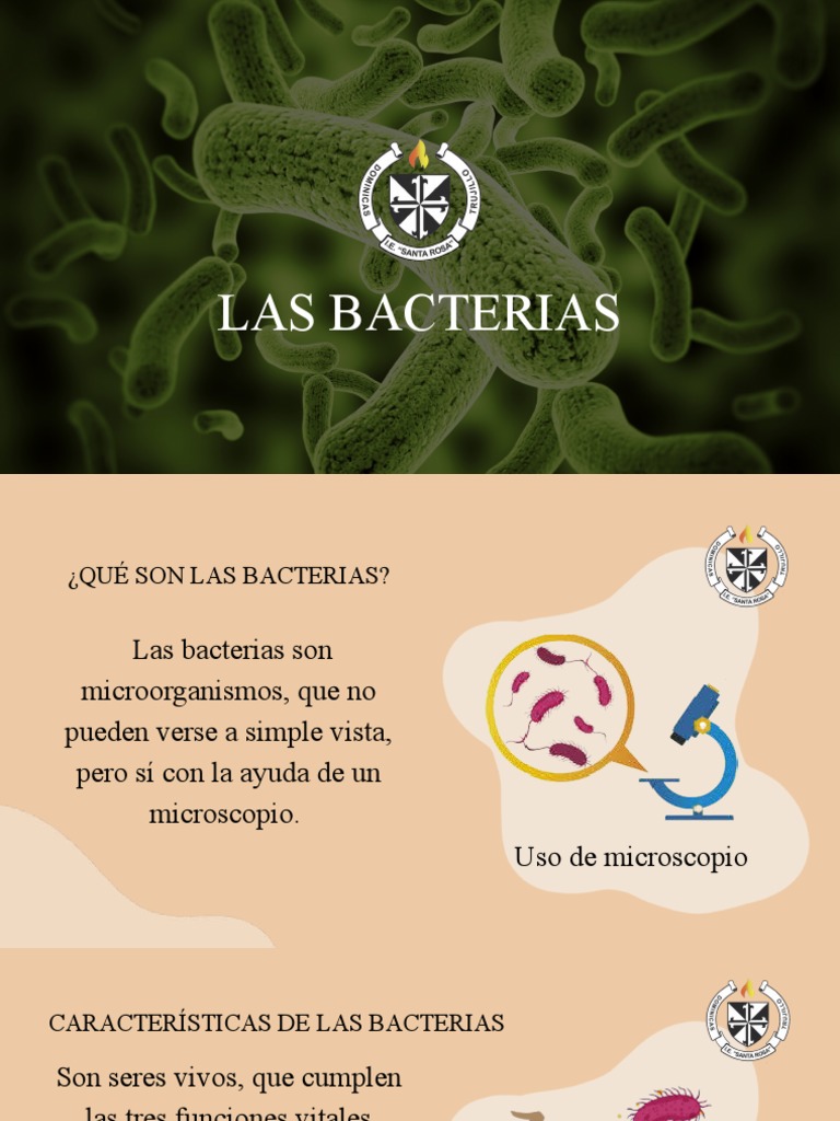 LAS BACTERIAS | PDF