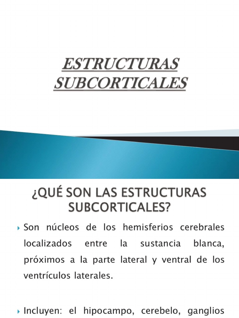 Estructuras Subcorticales | PDF