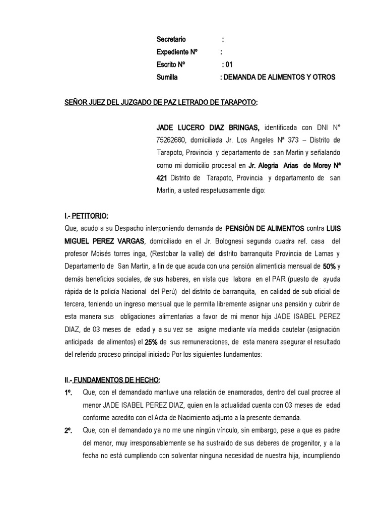 Demanda de Pensión Alimenticia Jade Lucero | PDF | Pensión alimenticia ...