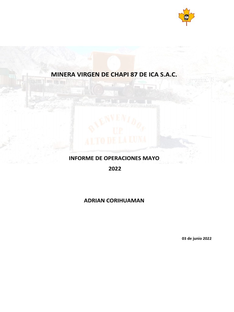 Minera Virgen de Chapi 87 de Ica S | PDF