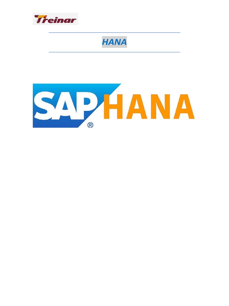 Sap Abap Hana | PDF