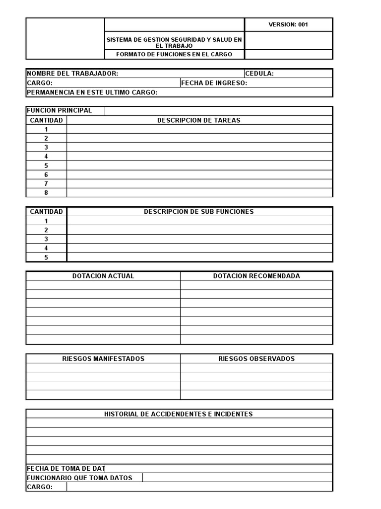 Formato de Funciones y Seguridad Laboral | PDF