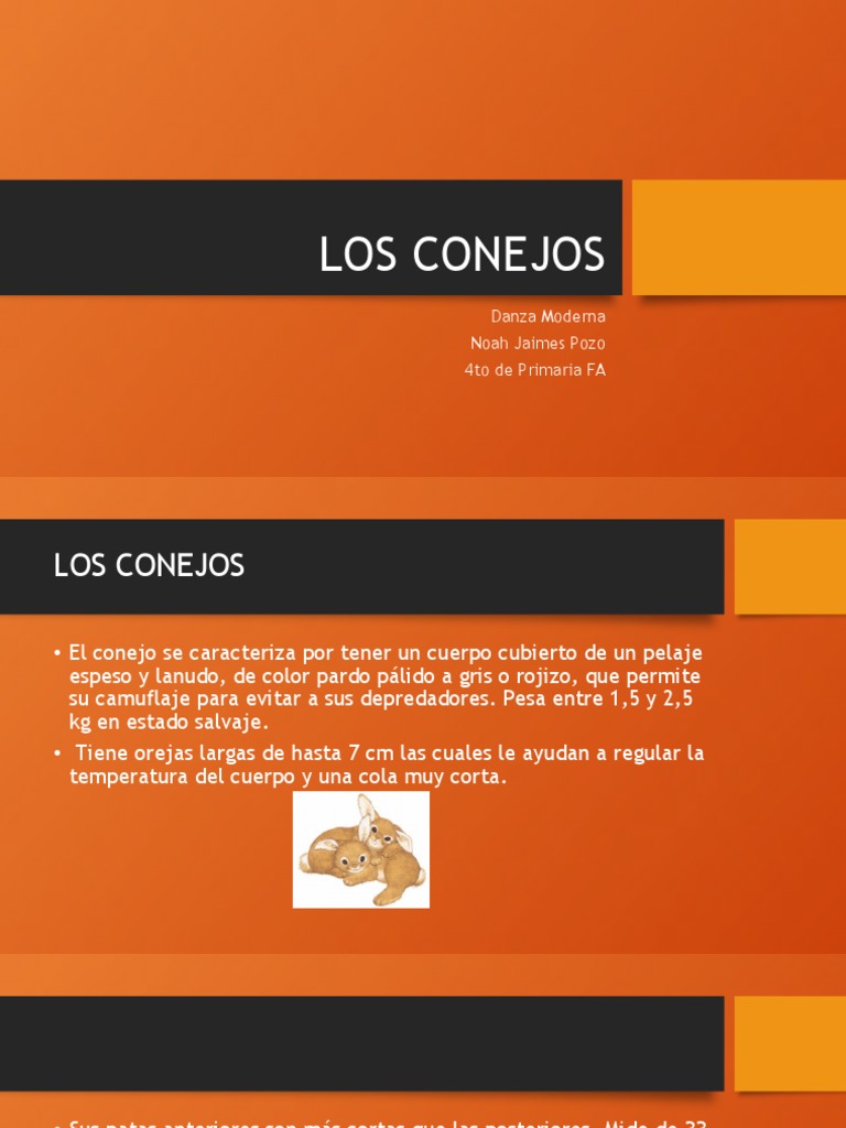 Características y lenguaje de los conejos | PDF | Estudios de idiomas ...