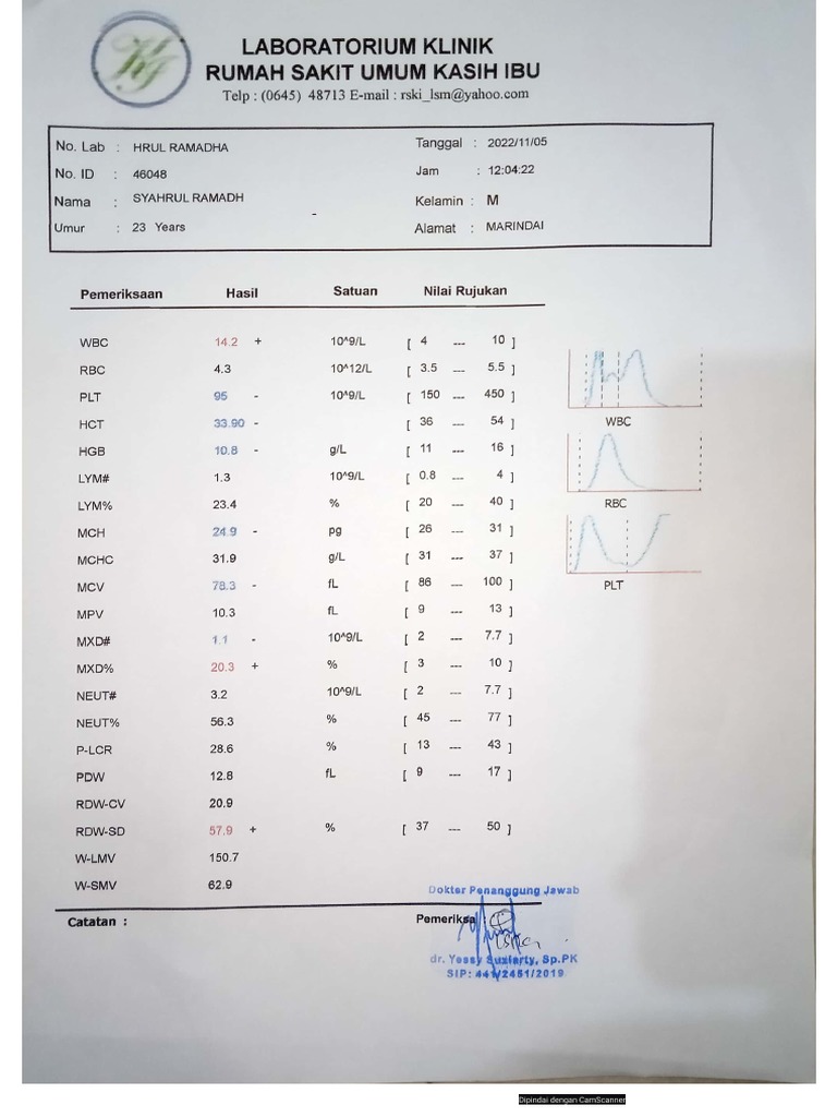 Hasil Lab Nilai Normal | PDF