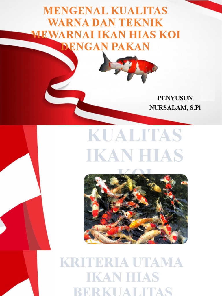 XPPT Kualitas Warna Ikan Koi | PDF