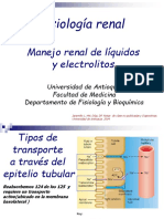 Anatomía y Función Del Túbulo Contorneado Distal (Autoguardado) | PDF ...