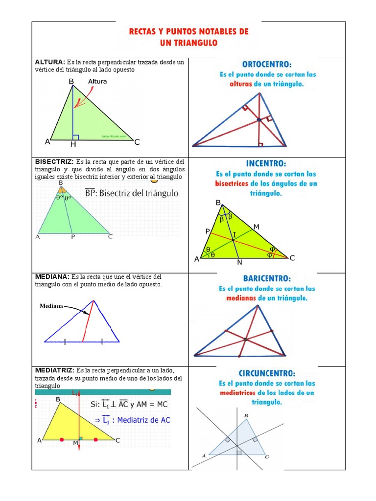Altura y partes de un triángulo | PDF