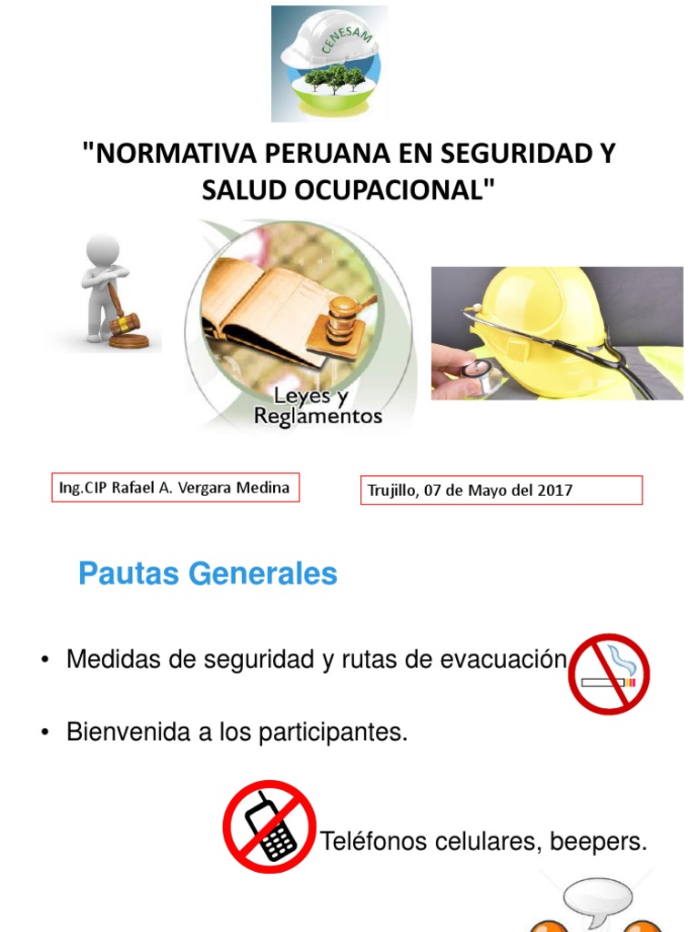Normativa Peruana en Seguridad y Salud Ocupacional | PDF