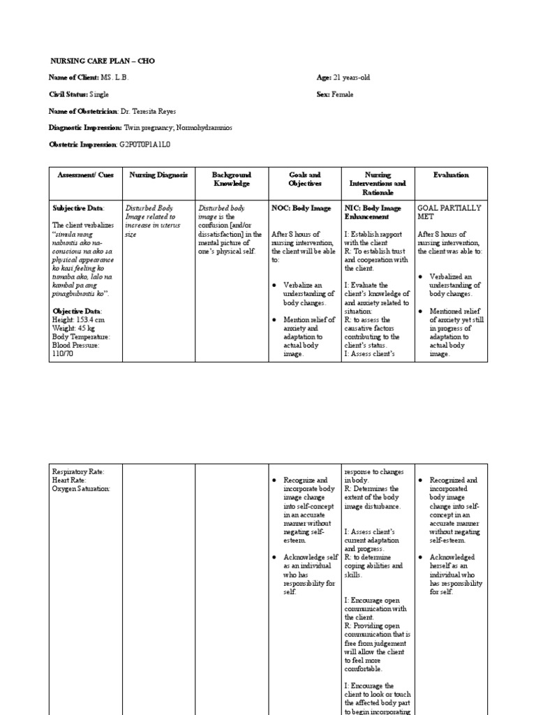 Nursing Care Plan for Disturbed Body Image | PDF | Self Esteem | Social ...