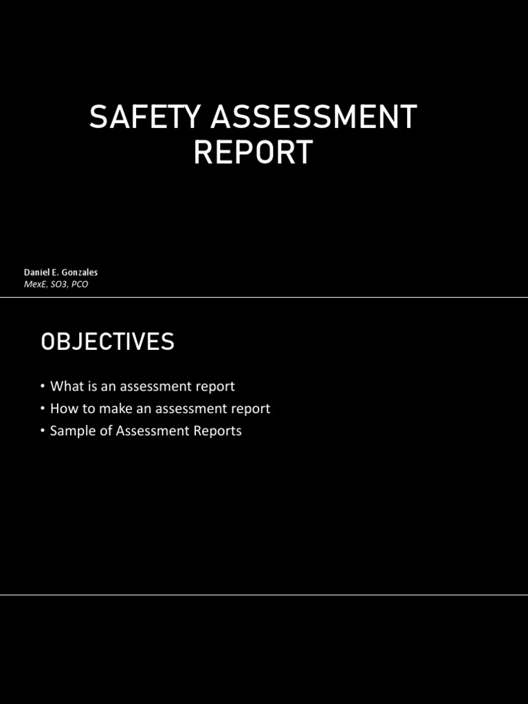 3 SAFETY ASSESSMENT REPORT | PDF