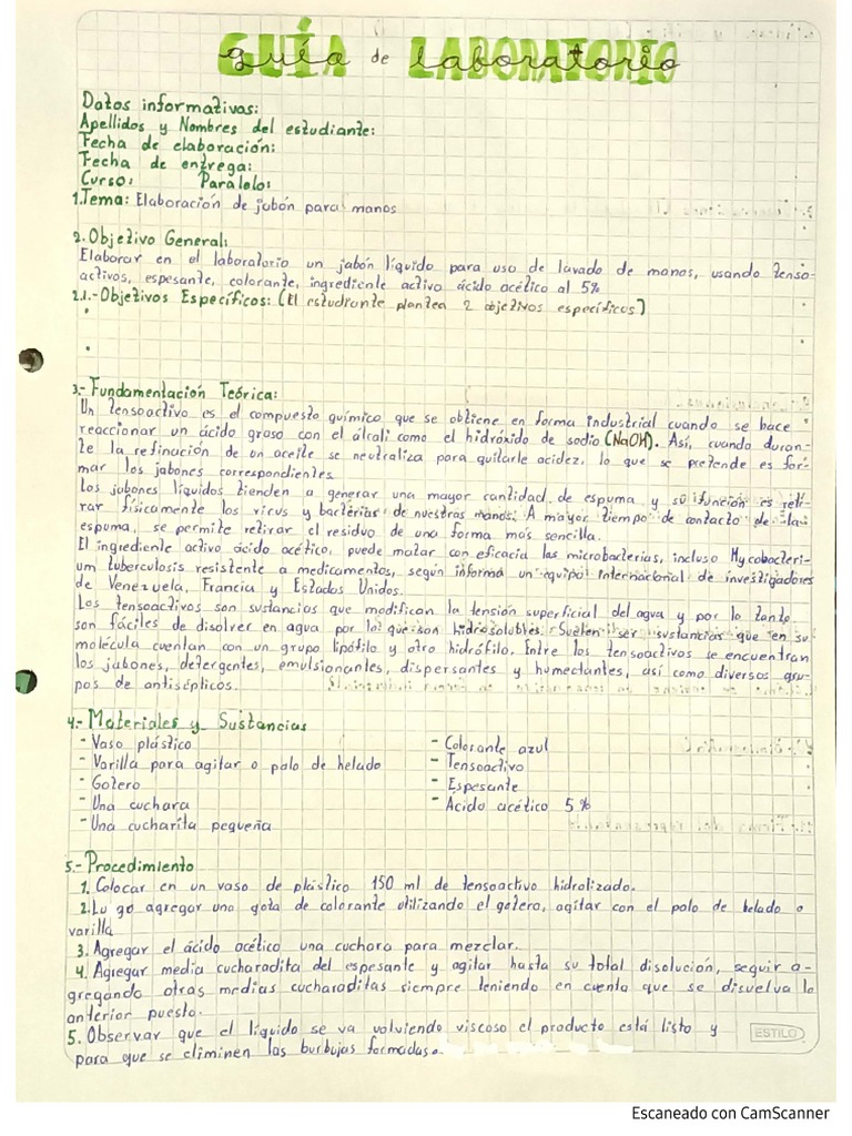 Guía de Laboratorio - Elaboración de Jabón | PDF