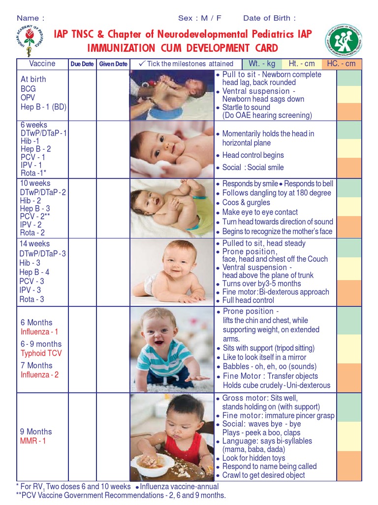 IAP - TNSC - Vaccine & Neurodevelopmental Card | PDF