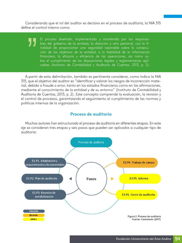 Proceso de Auditoría: Pasos | PDF | Auditoría | Contralor