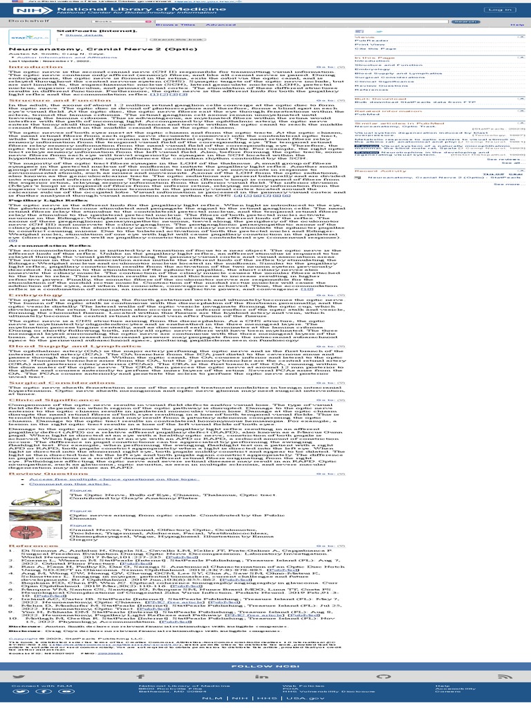 Neuroanatomy, Cranial Nerve 2 (Optic) - StatPearls - NCBI Bookshelf | PDF