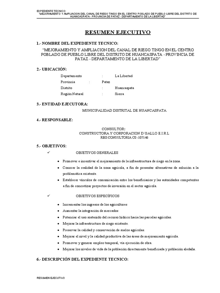 Resumen Ejecutivo | PDF