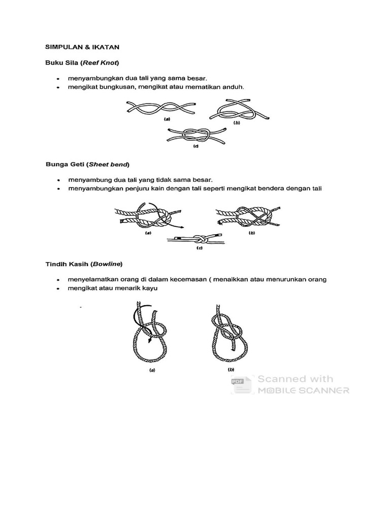 Ikatan Pengakap | PDF