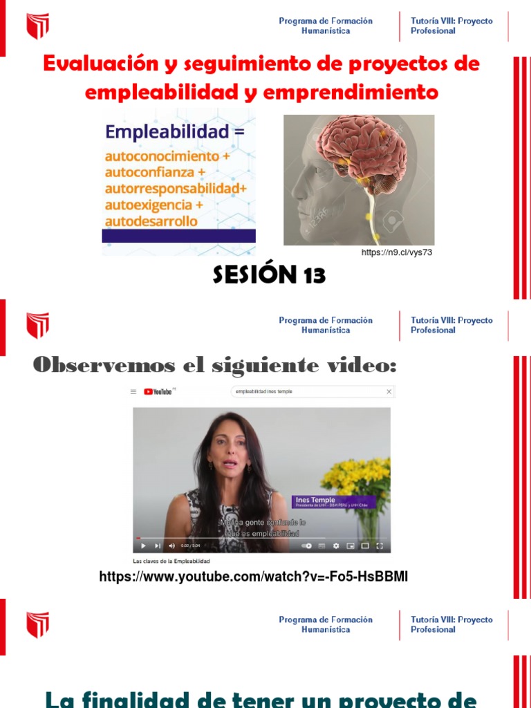 SESION 13 (Tutoría VIII) | PDF